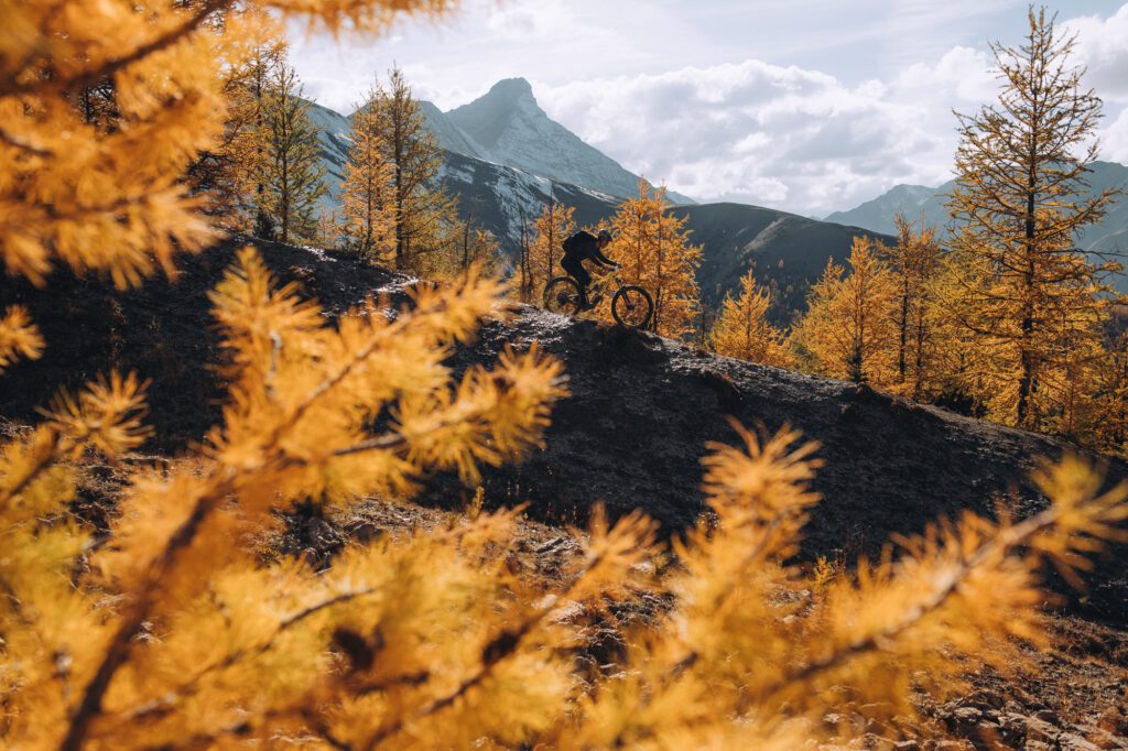 Velobude – ©2024 Velobude.ch | Alle Rechte vorbehalten.